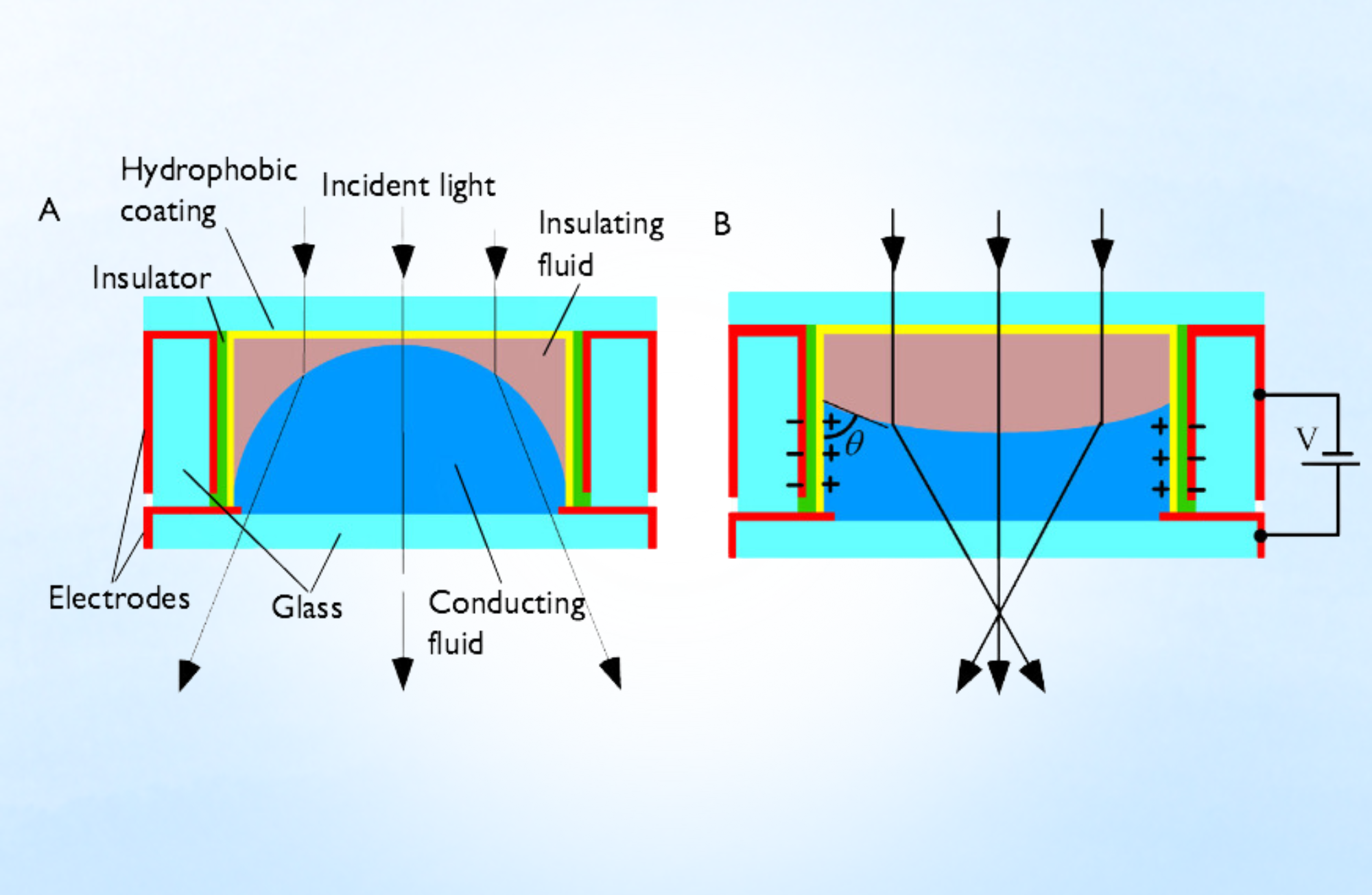 What is an Electrowetting Lens